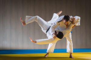 Biomechanics of Effective Striking in Martial Arts: Maximizing Power ...